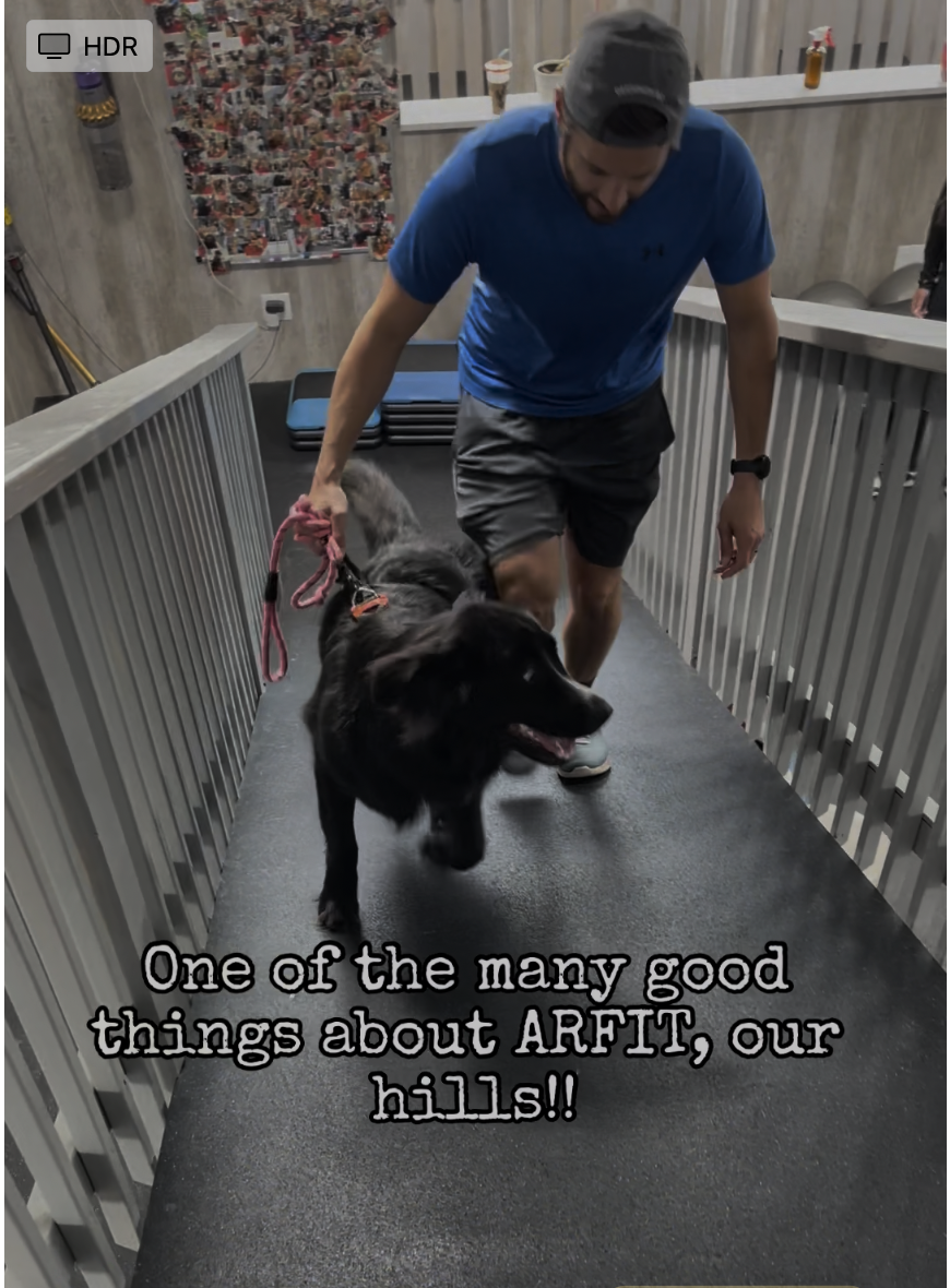Canine Rehabilitation in Chicago: The New Arfit Outcomes-Driven ...